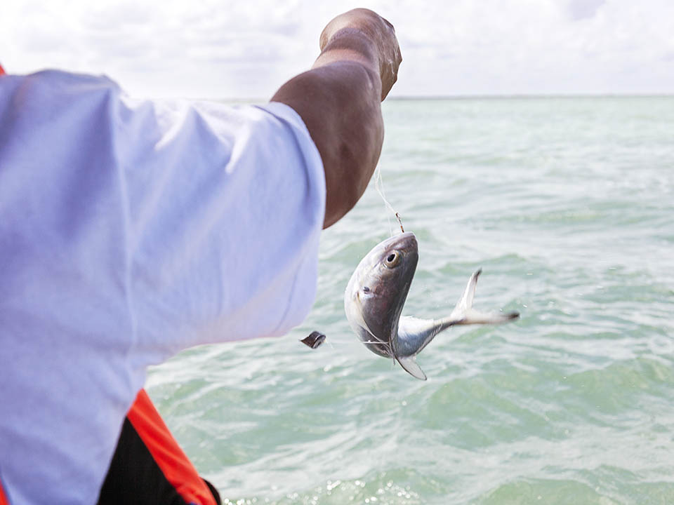 Pesca Tradicional - VIP Holbox Experience