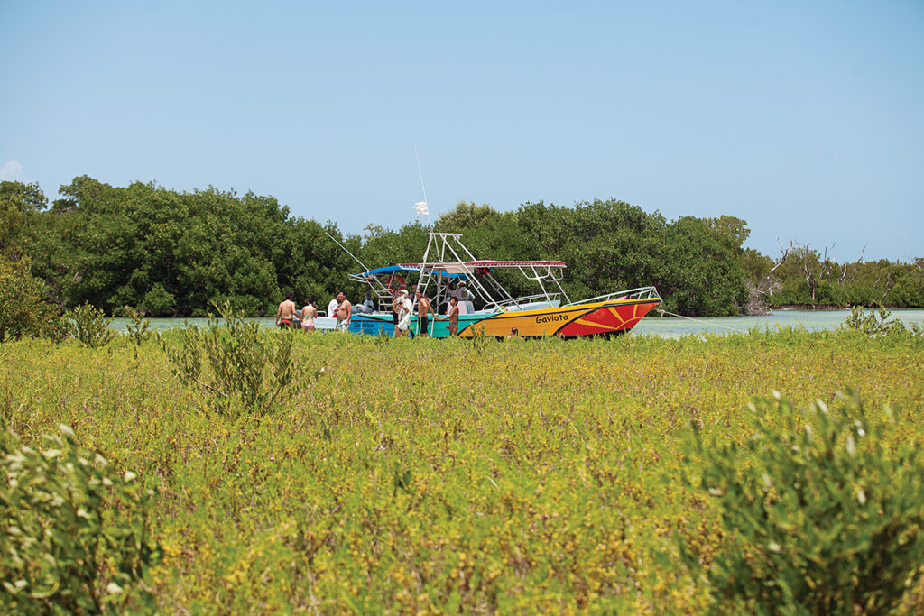 Explore Cabo Catoche - VIP Holbox Experience